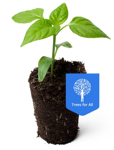 Plant een boom en maak impact